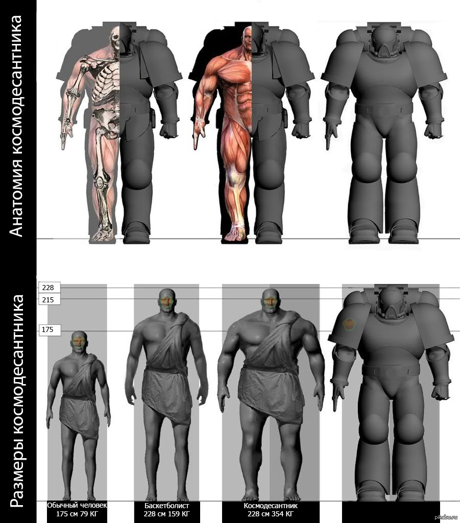 Warhammer 40K - Terminator из бумаги, модели сборные бумажные скачать ...